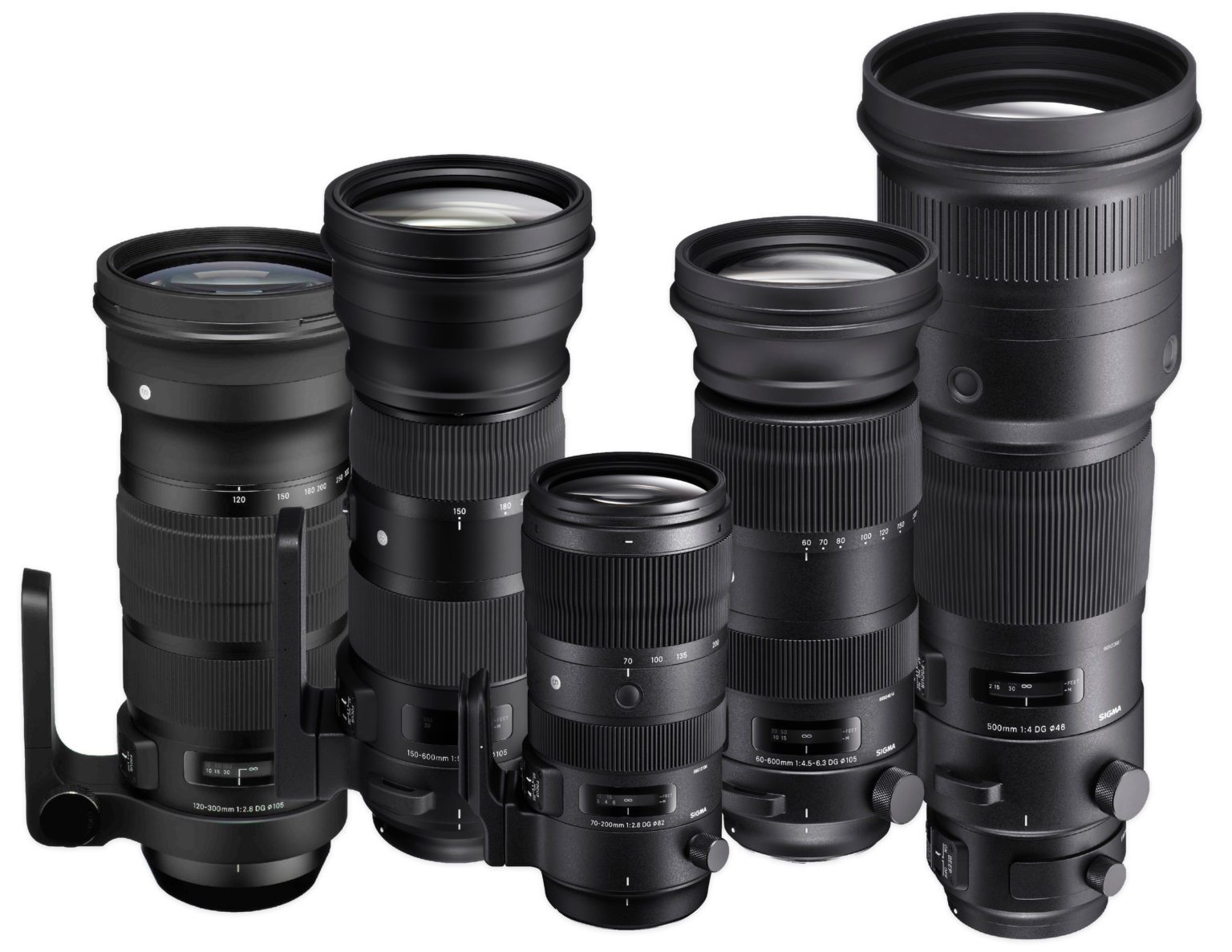 What is a Zoom Lens and When to Choose a Zoom Lens? | SIGMA Blog