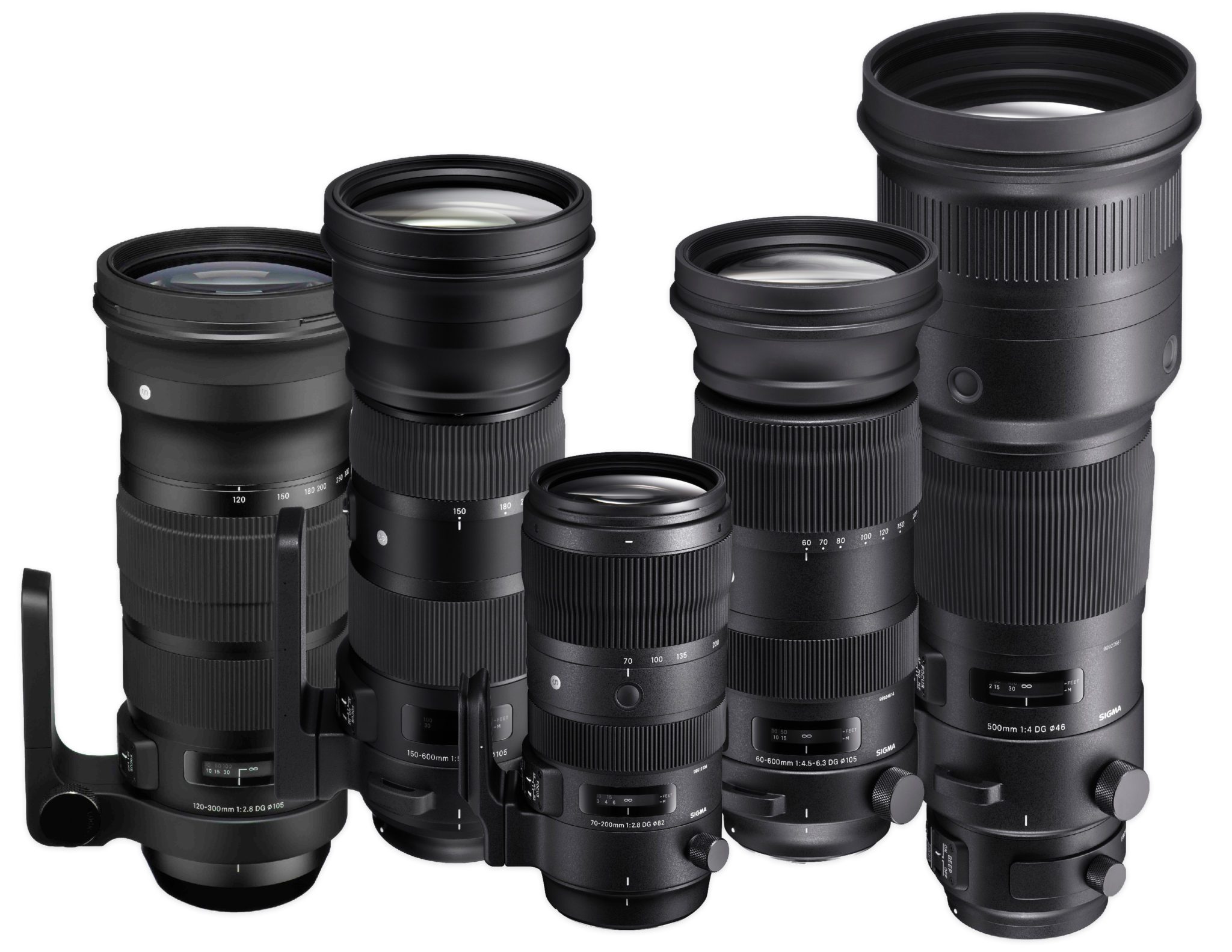 What is a Zoom Lens and When to Choose a Zoom Lens? | SIGMA Blog