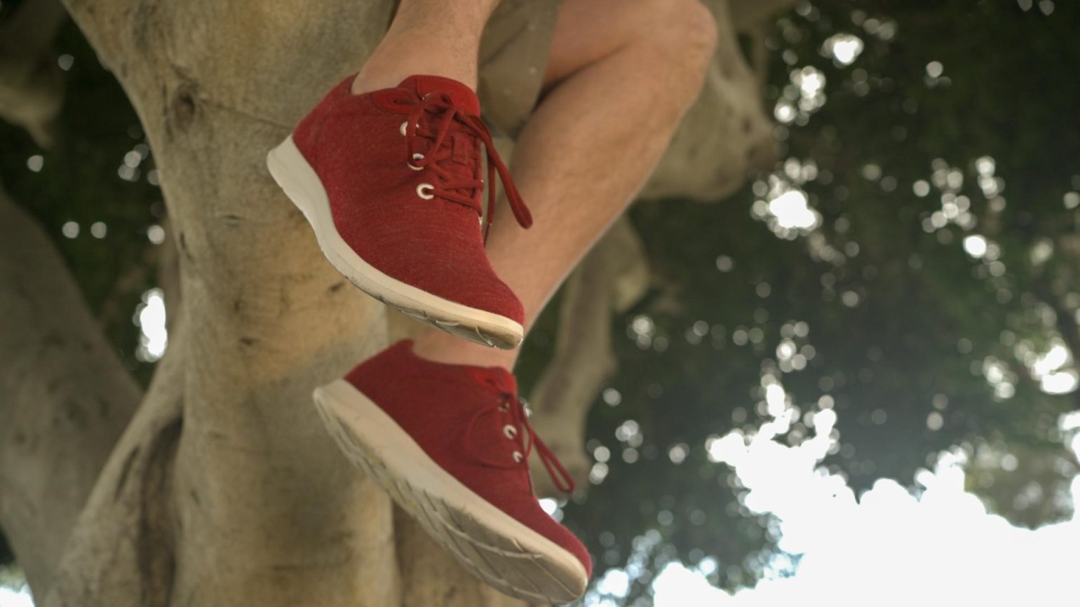Shooting a Shoe Commercial in Quarantine with the Sigma fp | SIGMA Blog