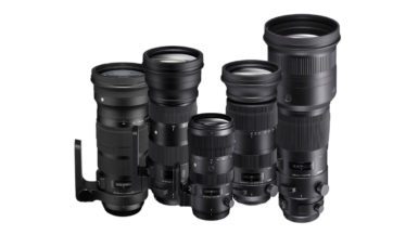 What is a Zoom Lens? Why and When to Choose a Zoom Lens? | SIGMA Blog