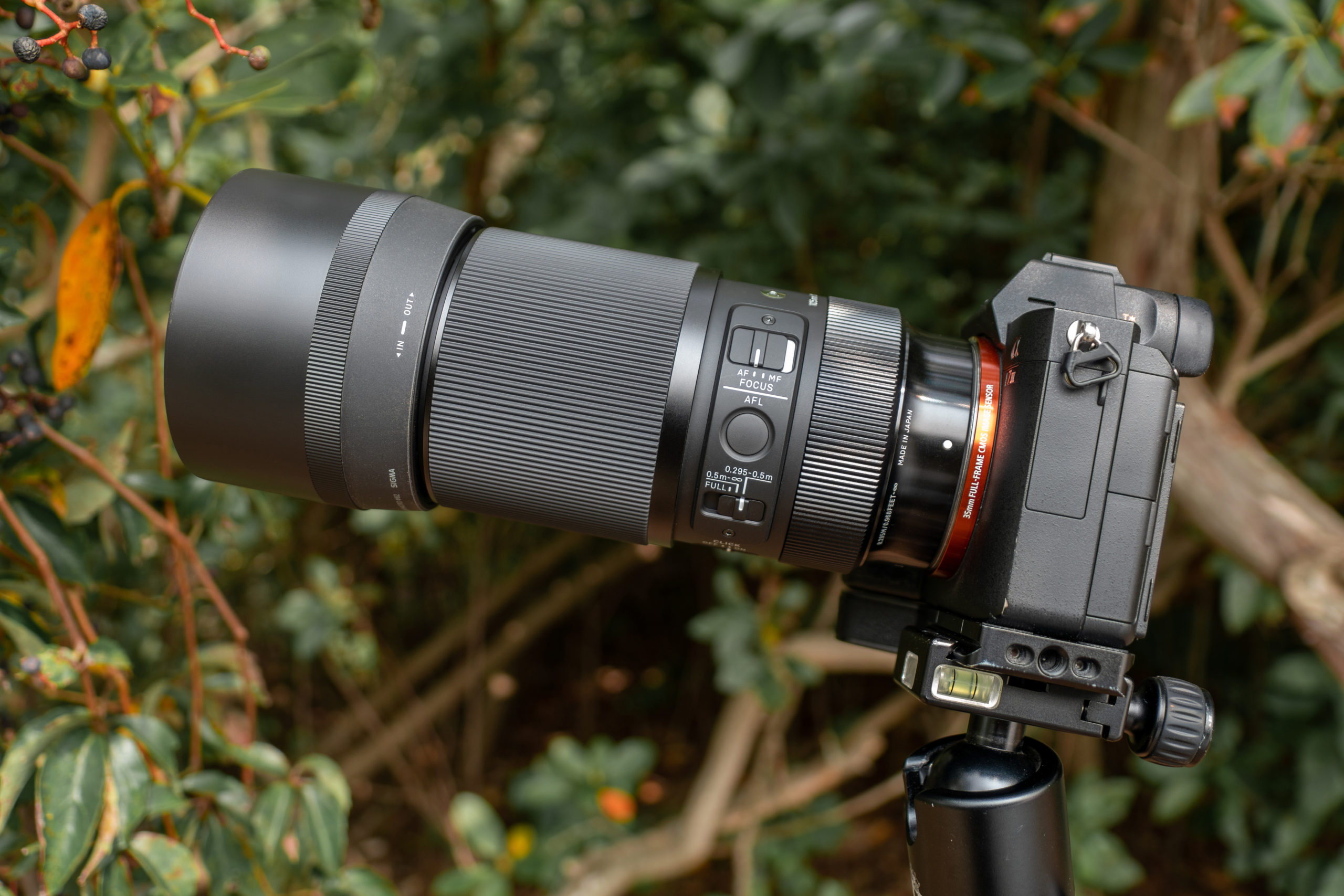 First Look SIGMA 105mm F2 8 DG DN Macro Art Lens SIGMA Blog