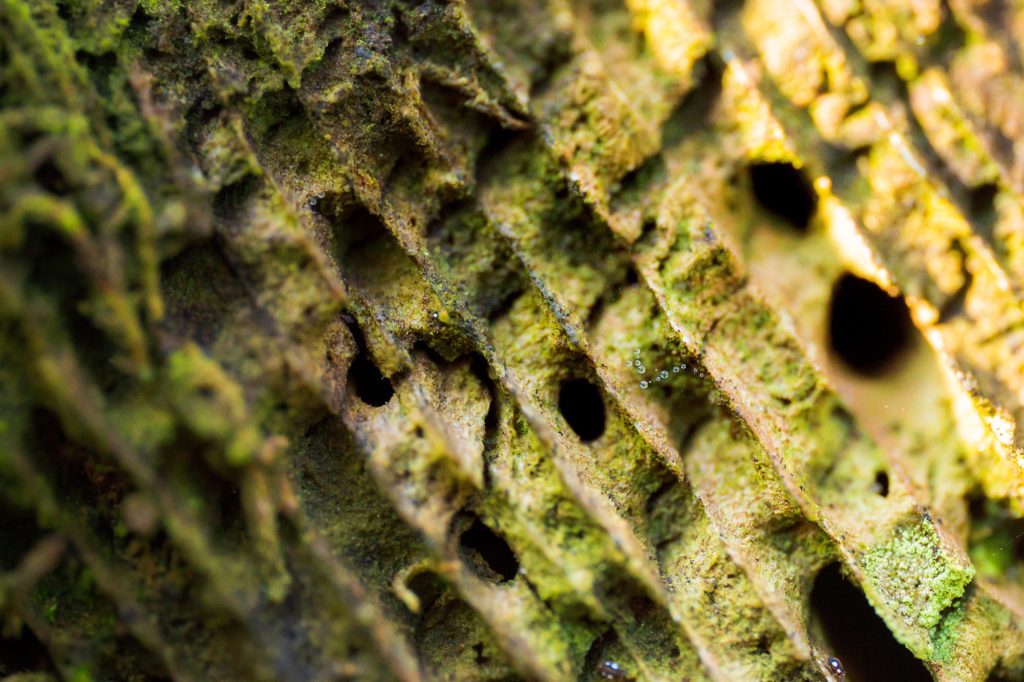 A Day on the Farm with the SIGMA 105mm F2.8 DG DN MACRO | Art | SIGMA Blog