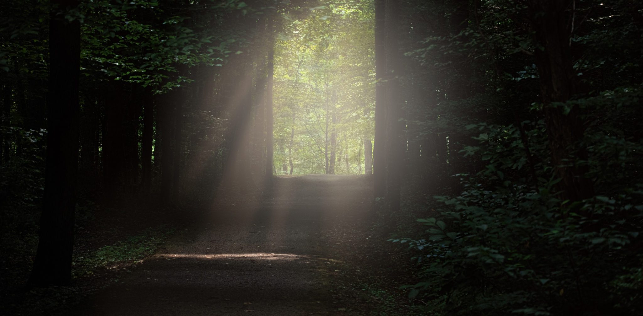 Everyday Super Telephoto: SIGMA 100-400mm DG OS HSM | Contemporary Lens ...