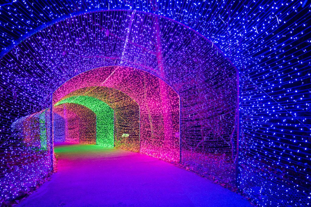 Photographing Holiday Lights with SIGMA DG DN Art Lenses | SIGMA Blog