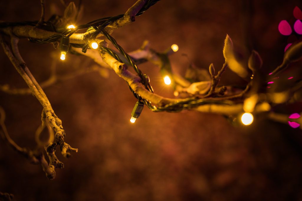 Photographing Holiday Lights with SIGMA DG DN Art Lenses | SIGMA Blog