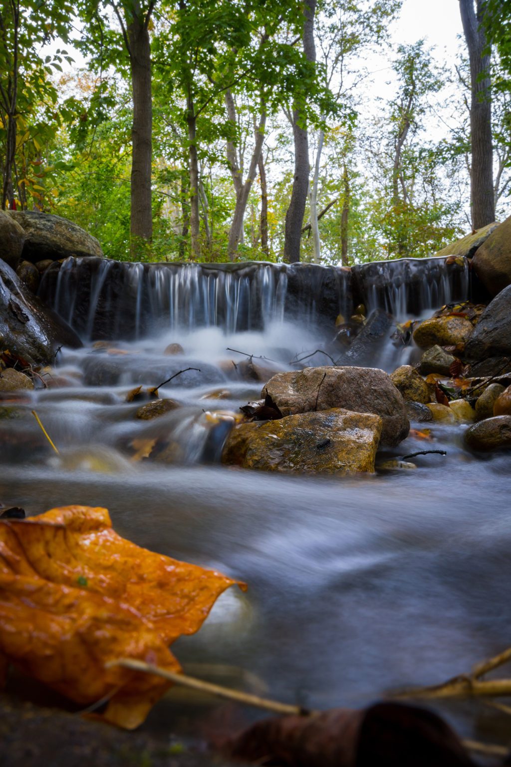 nick-18-50mm-04 | SIGMA Blog