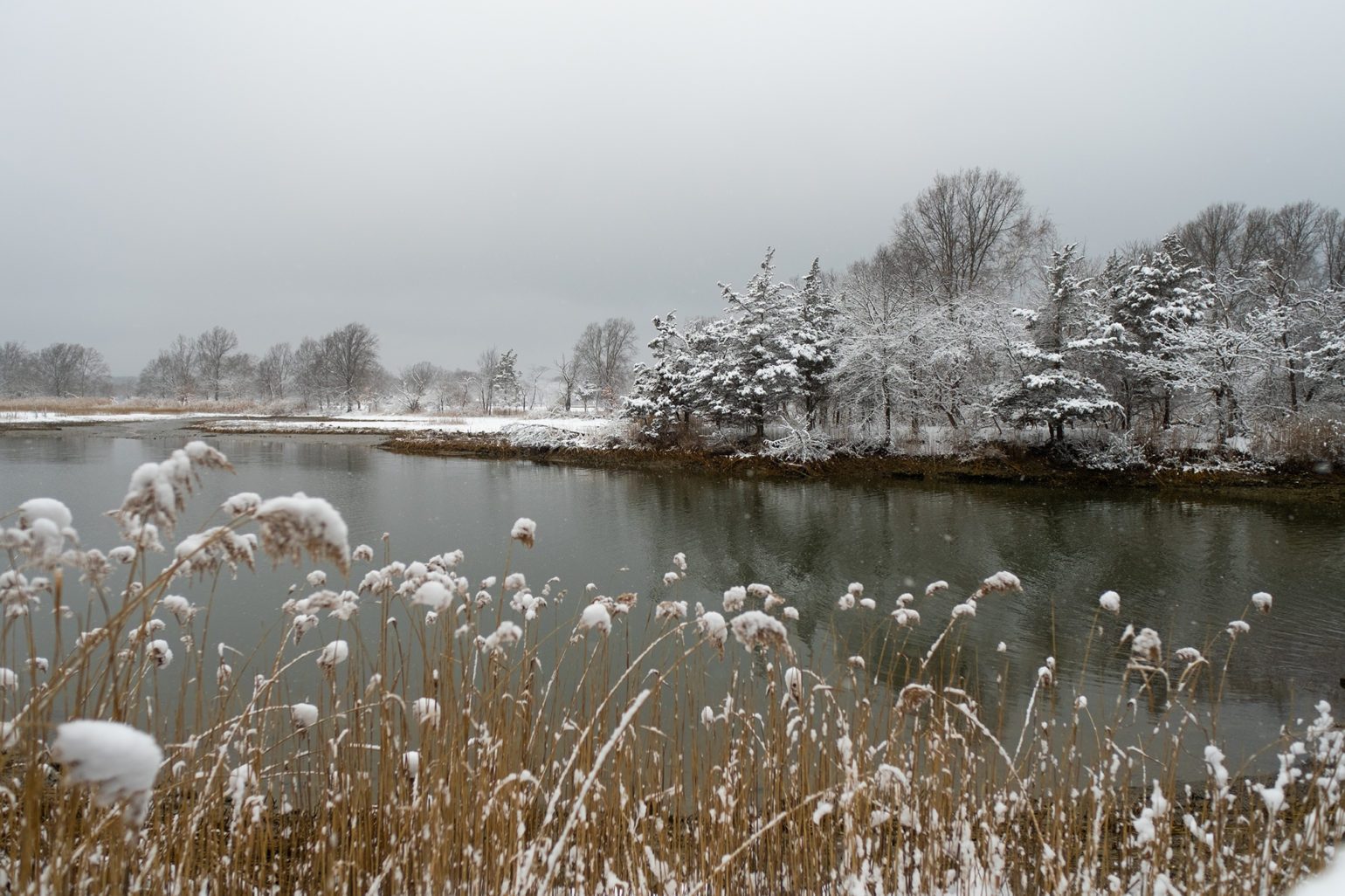 A Long-Awaited Day Out with SIGMA Prime Lenses for Fujifilm X Mount ...