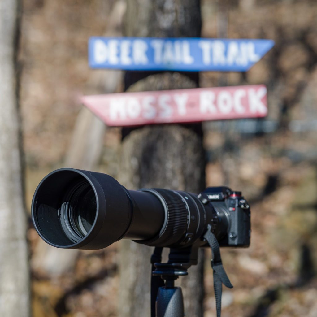 1200mm Telephoto Reach with Autofocus is a Game Changer | SIGMA Blog