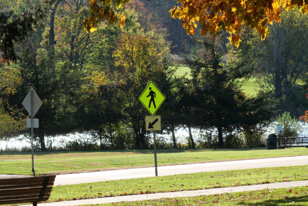 1200mm Telephoto Reach with Autofocus is a Game Changer | SIGMA Blog