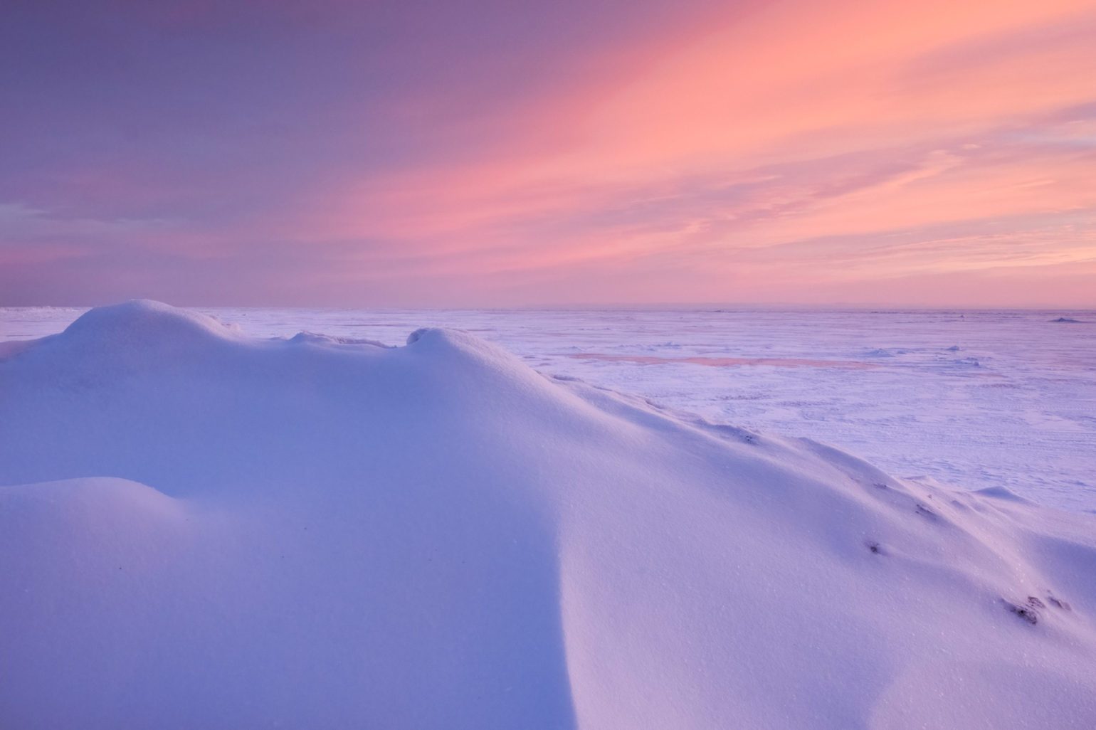 Bringing SIGMA Contemporary Lenses Into the Light | SIGMA Blog