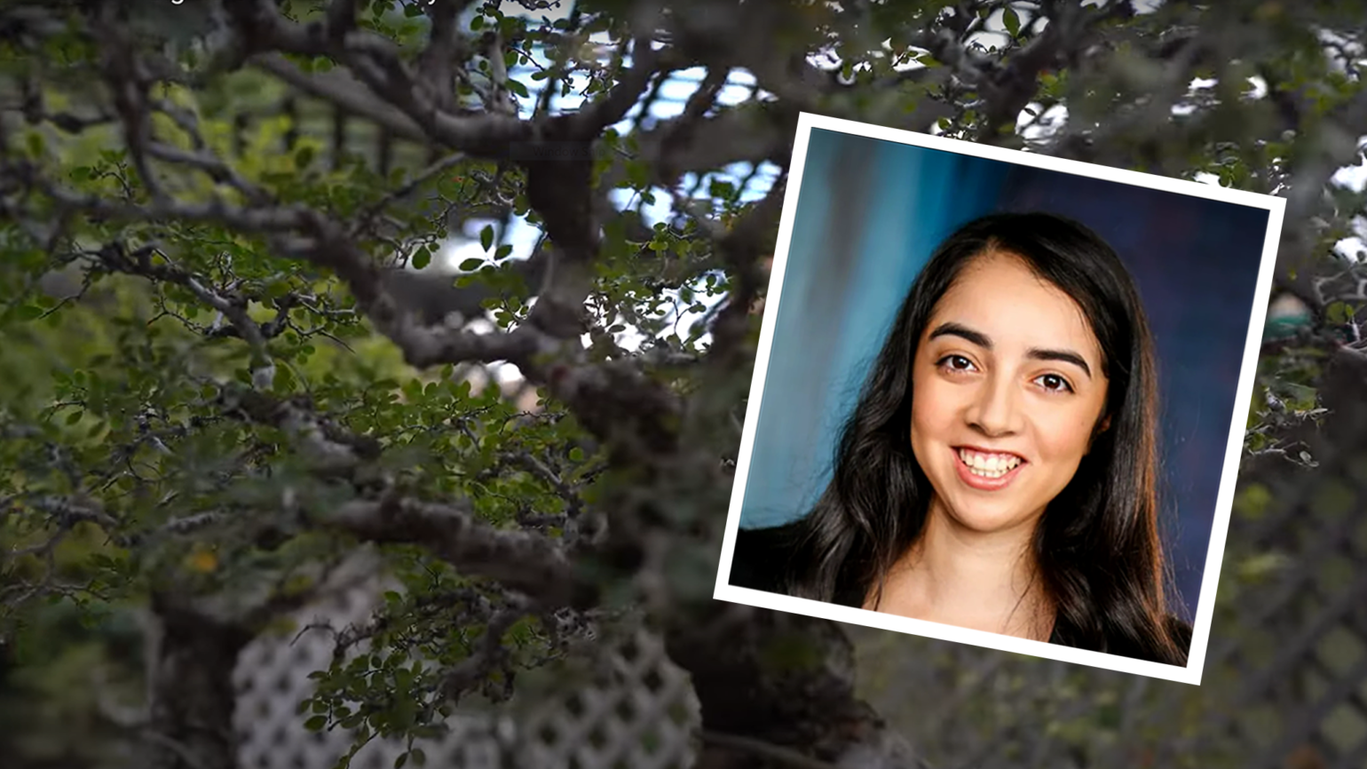 SIGMA University Student Q&A - Sofia Ayerdi, California State University Northridge | SIGMA Blog