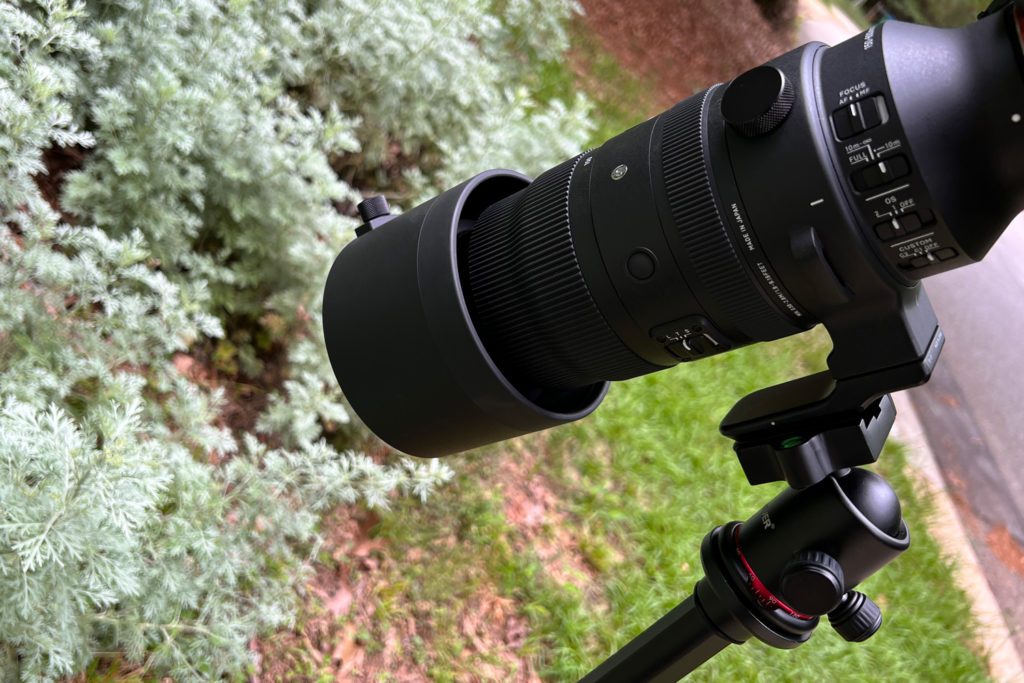 Macro Photography with a 600mm Telephoto Zoom Lens? | SIGMA Blog