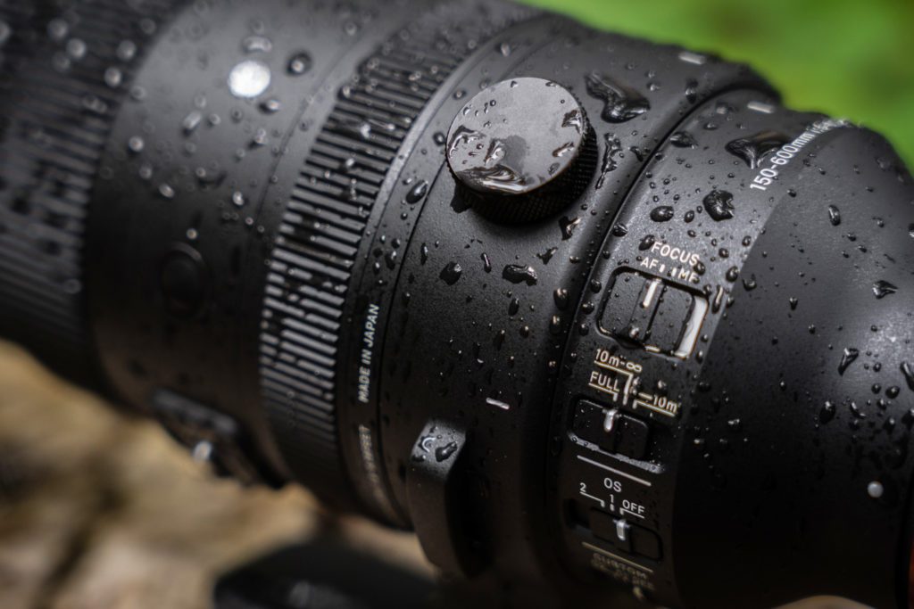 Macro Photography with a 600mm Telephoto Zoom Lens? | SIGMA Blog