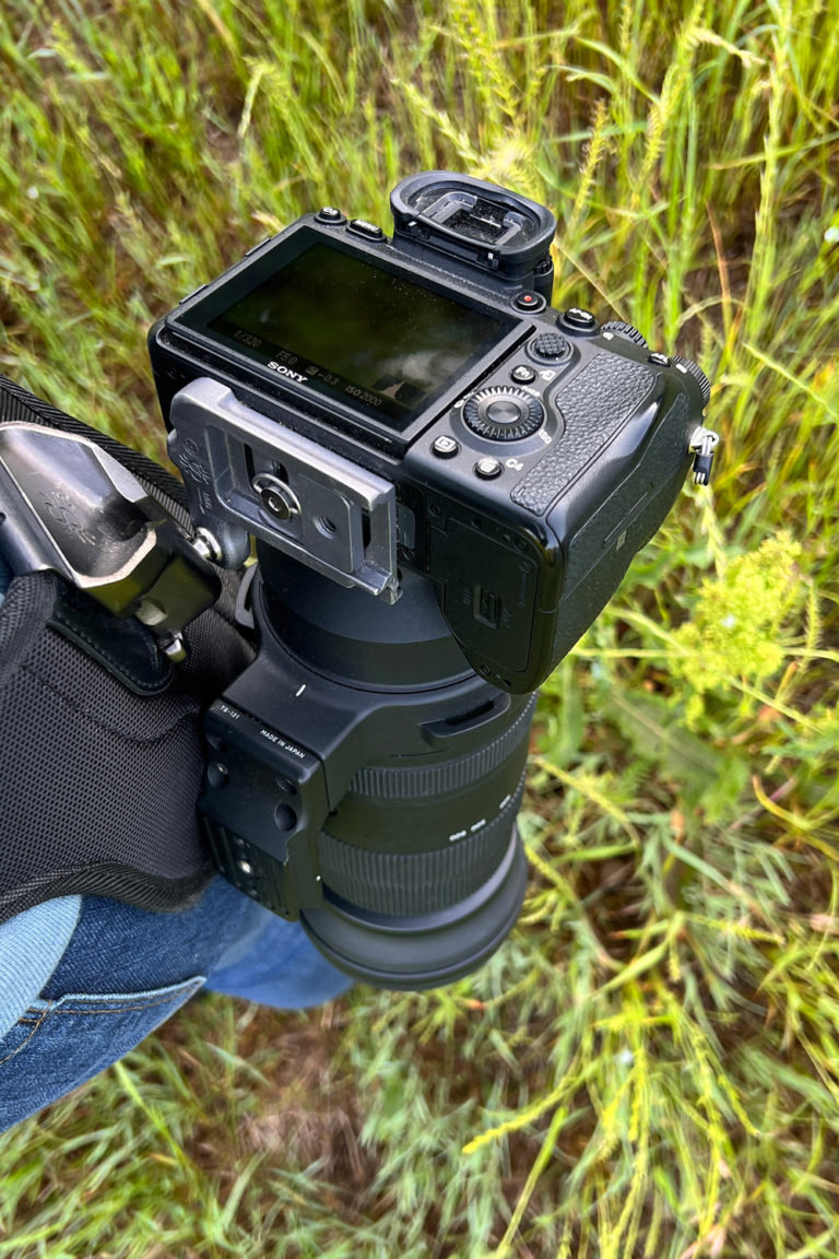 Macro Photography with a 600mm Telephoto Zoom Lens? | SIGMA Blog