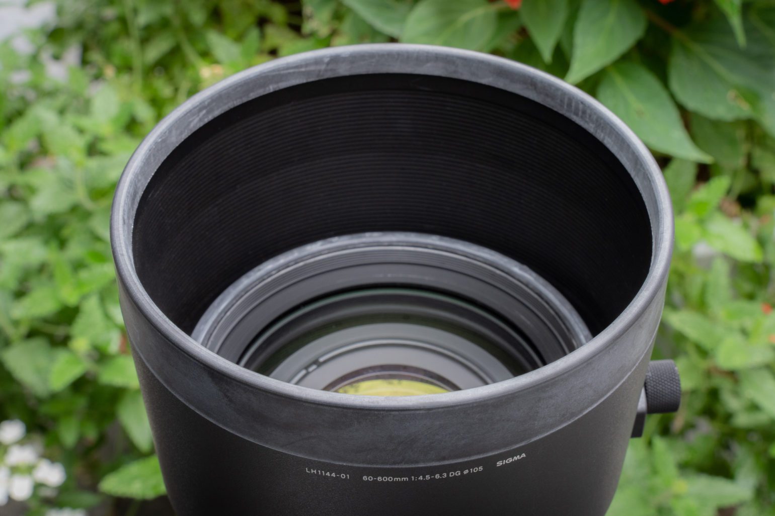 The Outdoor Photographer's Best Friend: SIGMA 60-600mm DG OS HSM Sports ...