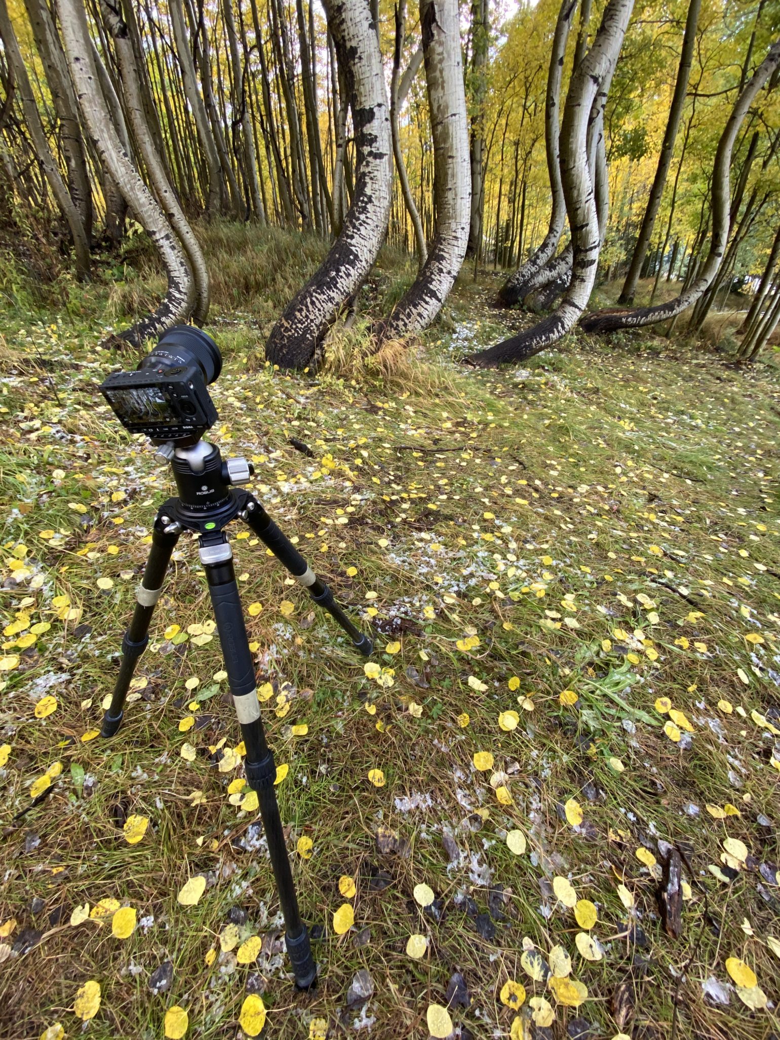 Fall Landscape Photography with the SIGMA 20mm & 24mm F1.4 DG DN Art ...