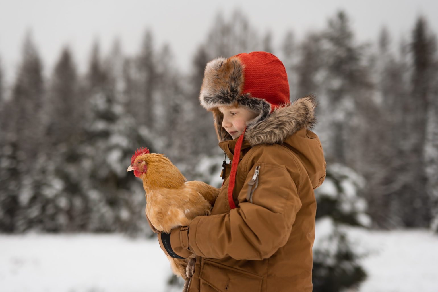 Switching to Mirrorless: Using SIGMA Lenses on Canon EOS R Cameras (and more!) | SIGMA Blog