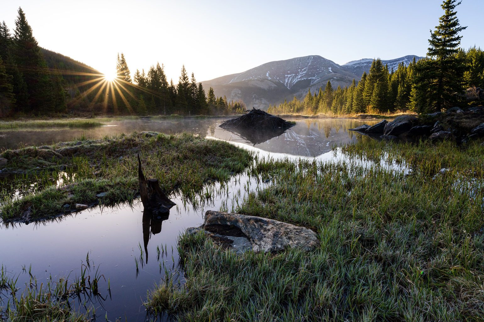 Packing a Lightweight Punch with SIGMA Contemporary Zoom Lenses for ...