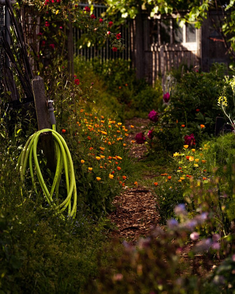 Creating Exquisite Digital Collages with the SIGMA 70mm F2.8 DG Macro ...