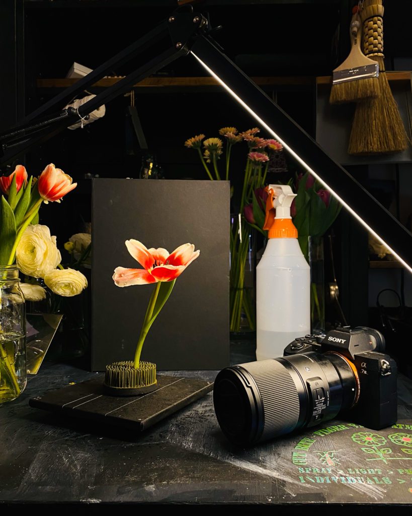 Creating Exquisite Digital Collages with the SIGMA 70mm F2.8 DG Macro ...