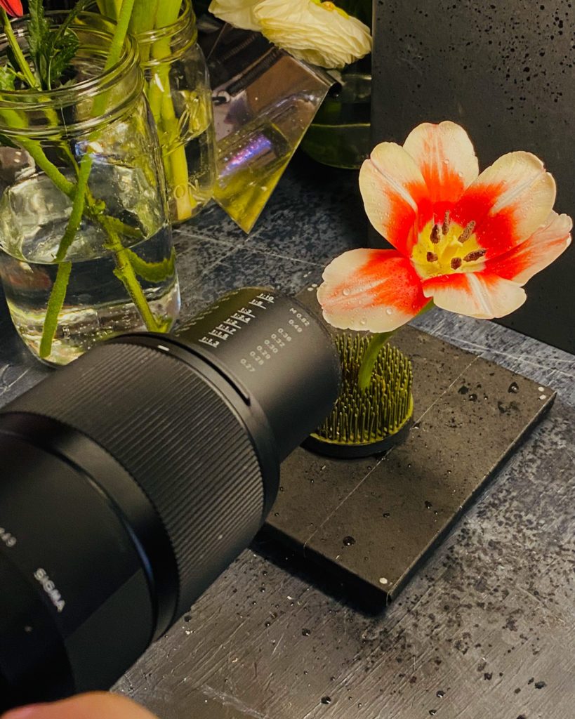 Creating Exquisite Digital Collages with the SIGMA 70mm F2.8 DG Macro ...
