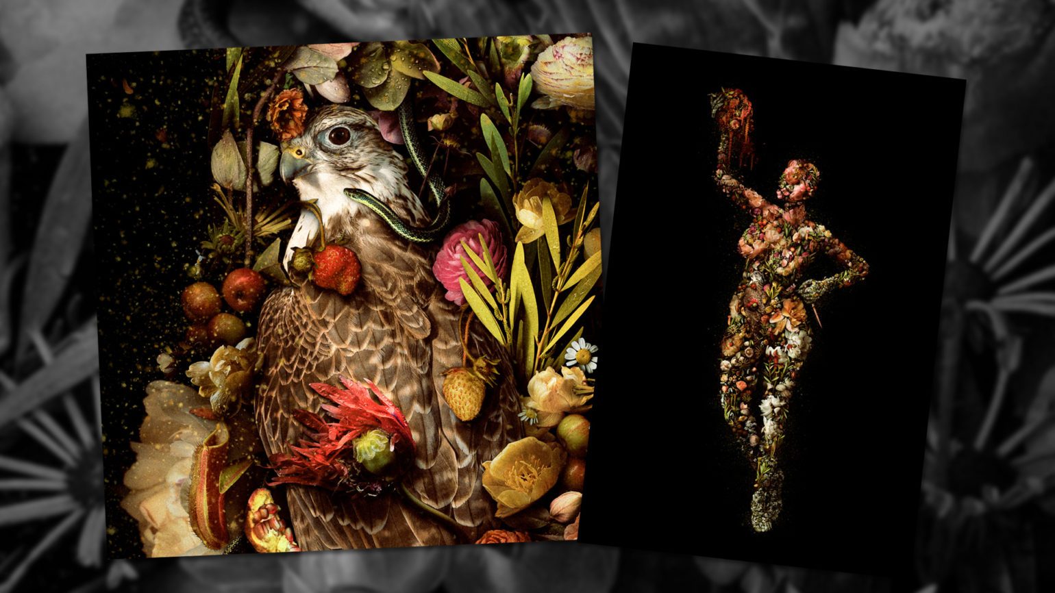 Creating Exquisite Digital Collages with the SIGMA 70mm F2.8 DG Macro ...