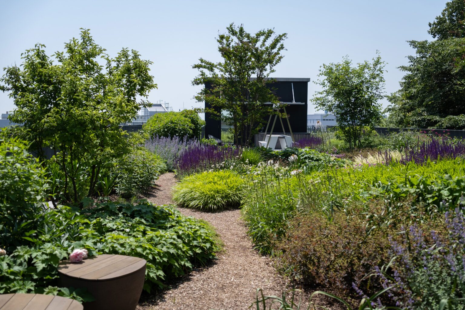 Visiting Sigma Japan with My Favorite Travel Lens: 18-50mm F2.8 DC DN ...