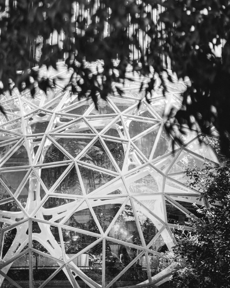 Photographing the World's Biggest (and Smelliest) Flower with the SIGMA ...