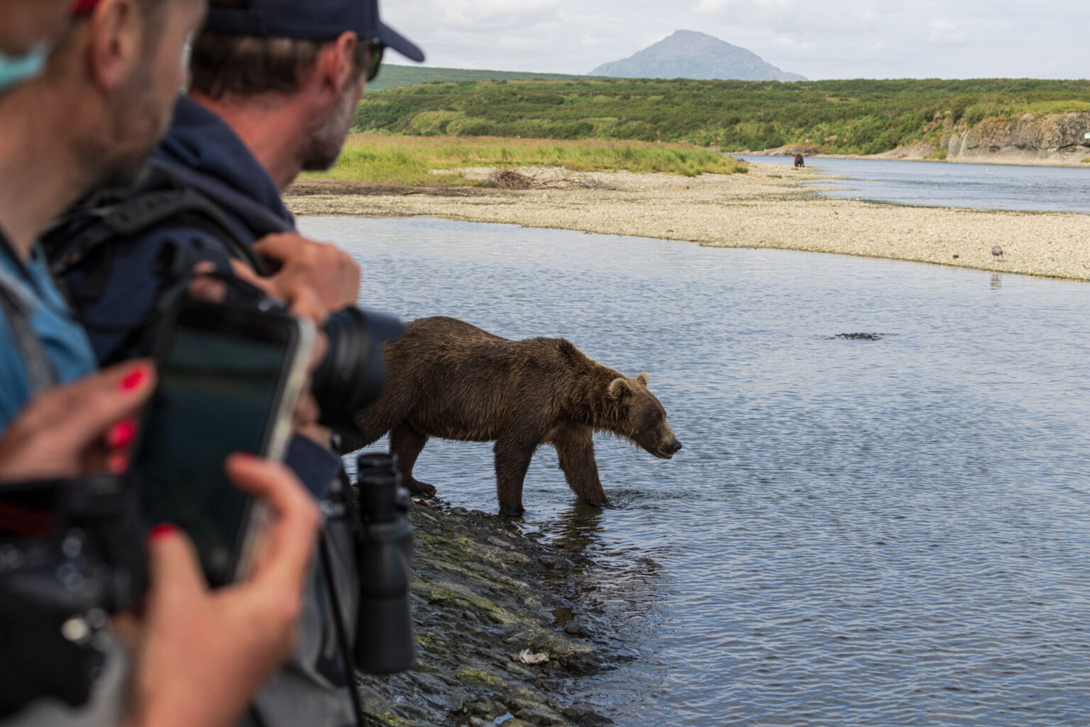 Brown Bear Photography in Alaska with the SIGMA 60-600mm DG DN OS ...