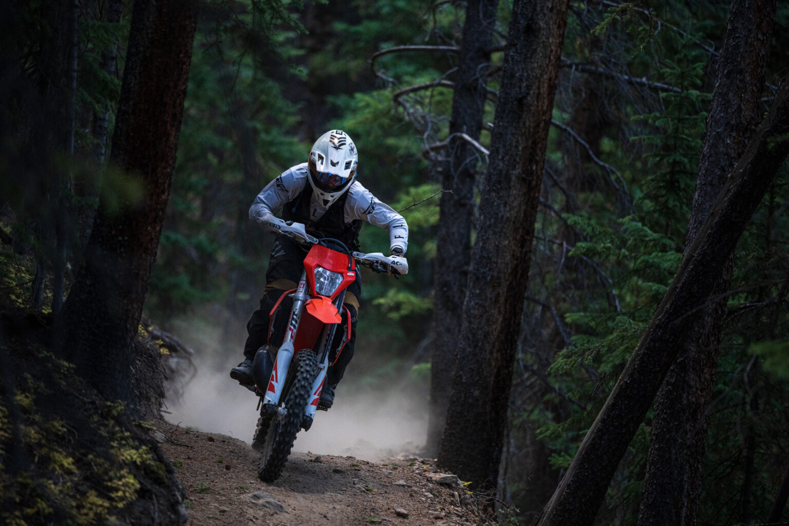 First Look: SIGMA 70-200mm F2.8 DG DN OS Sports Lens for Sony E-mount ...