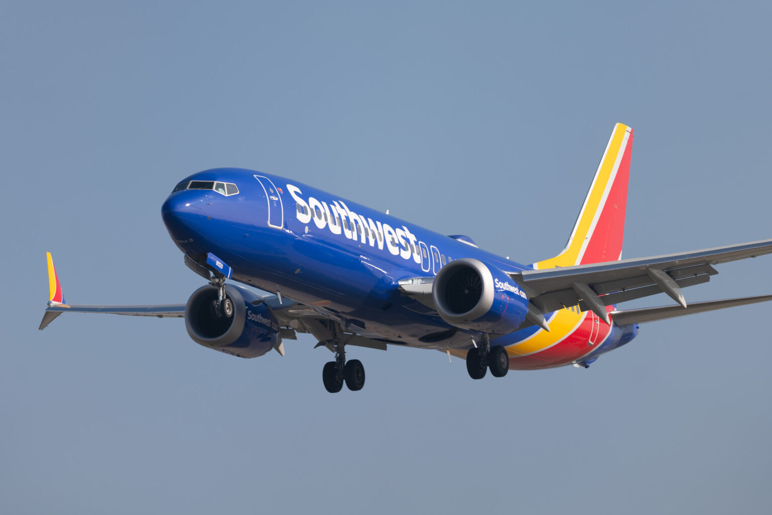 First Look: SIGMA 500mm F5.6 DG DN OS | Sports Lens for L-Mount | SIGMA ...