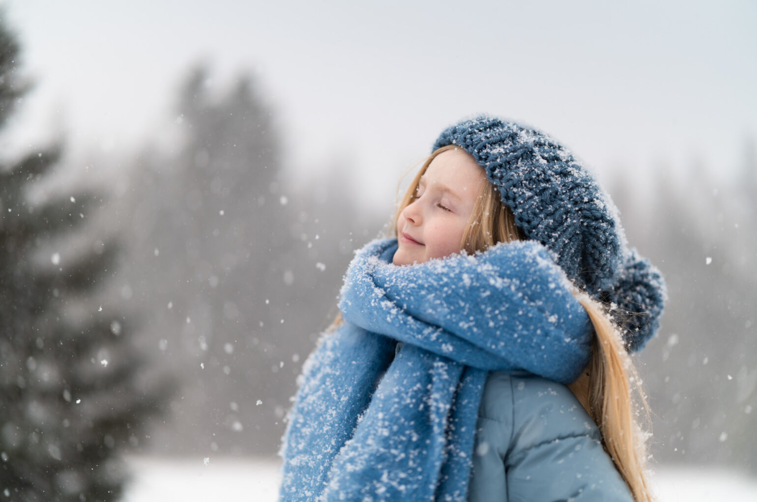 First Look: SIGMA 50mm F1.2 DG DN | Art Lens for L-Mount | SIGMA Blog