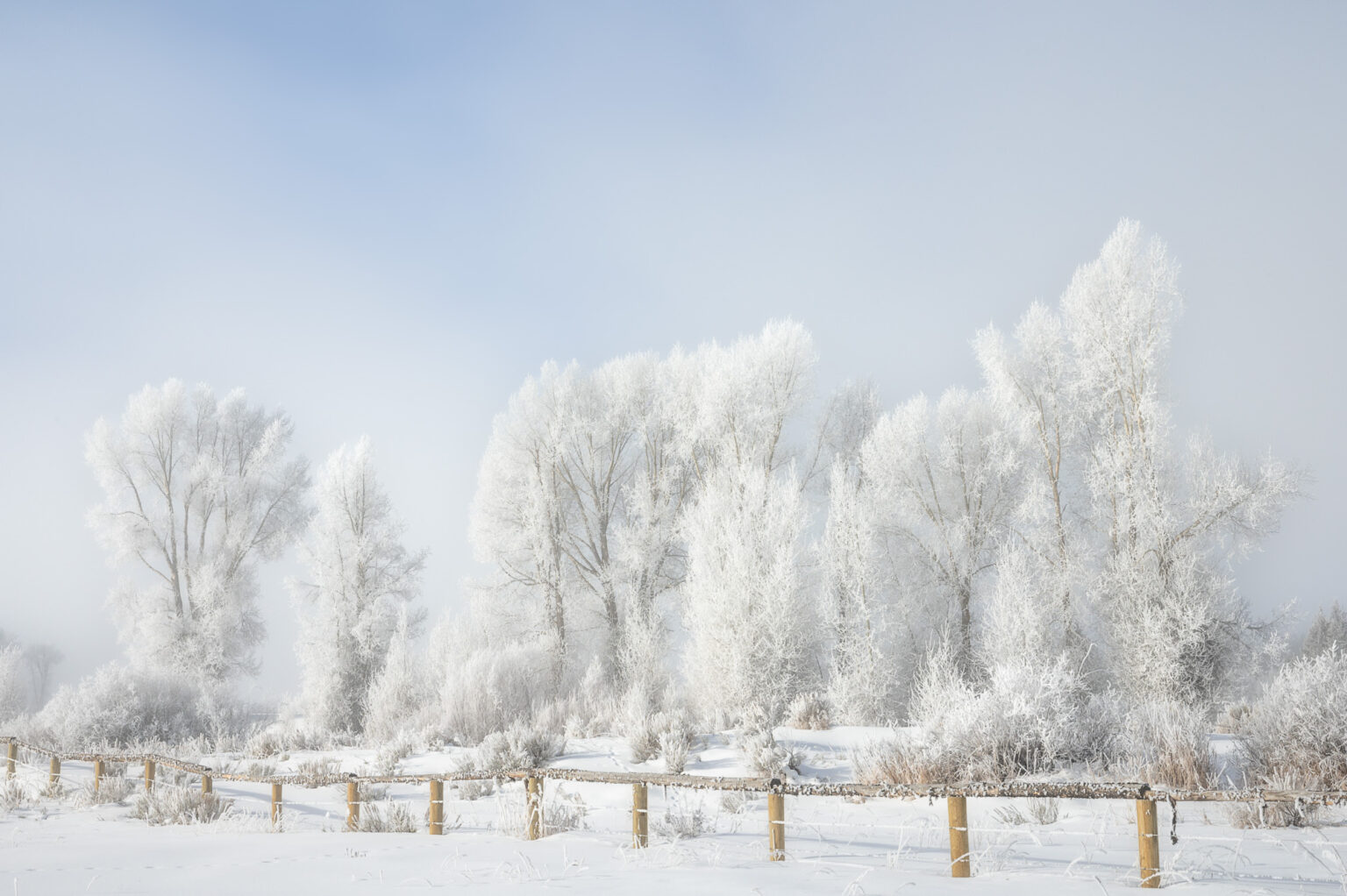 Adapting SIGMA Lenses to Nikon Z Cameras at Grand Teton National Park ...