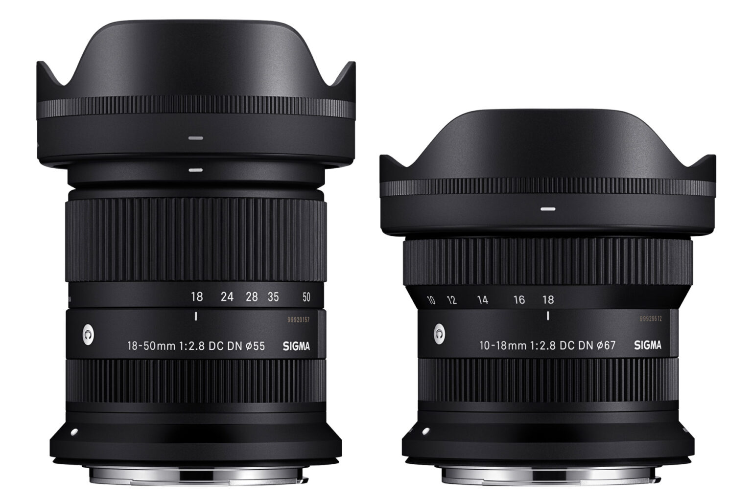 SIGMA Introduces Lenses for Canon RF Mount: What You Need to Know ...
