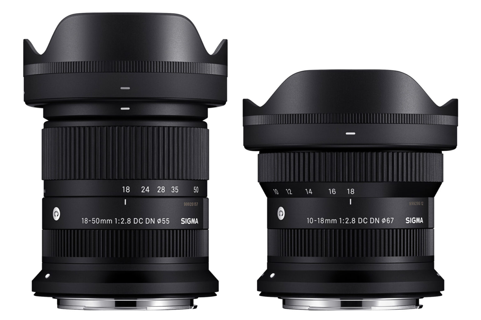 SIGMA Introduces Lenses for Canon RF Mount: What You Need to Know | SIGMA Blog