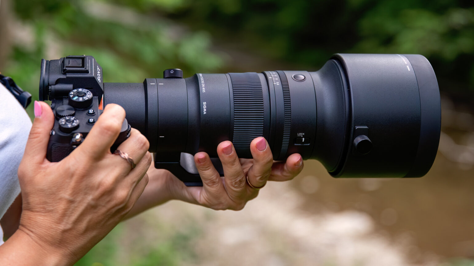Wild Things Within Reach: SIGMA 500mm F5.6 DG DN OS Sports Lens for ...