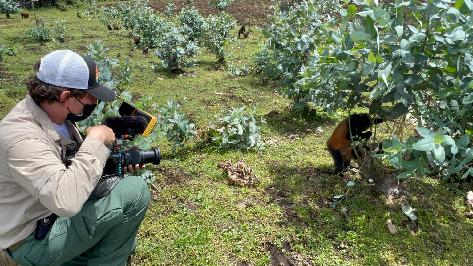 Feature Length Wildlife Conservation Documentary Filmed with SIGMA ...