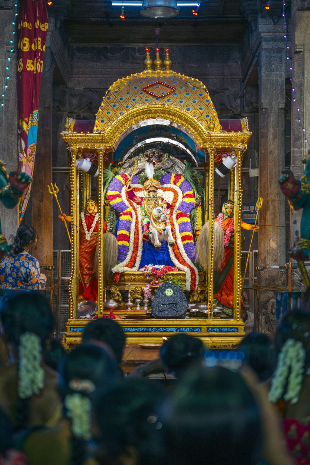 Media (22) | SIGMA Blog