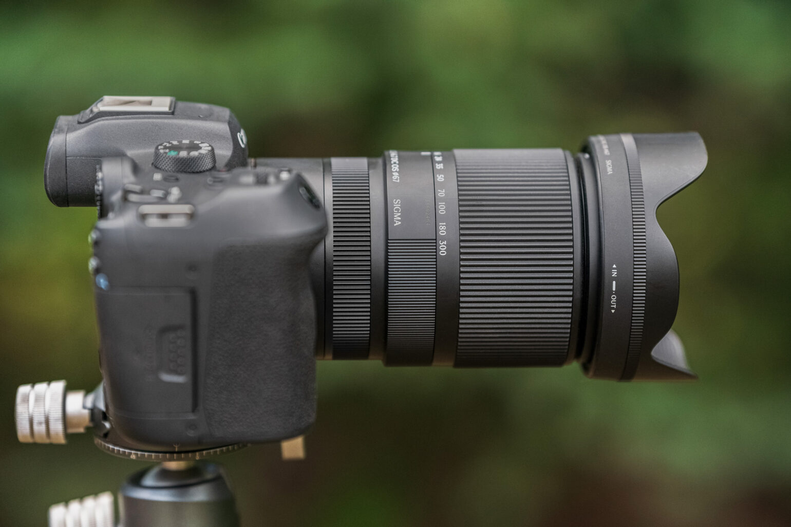 The Right Tool for the Job: Sigma 16-300mm F3.5-6.7 DC OS Contemporary ...