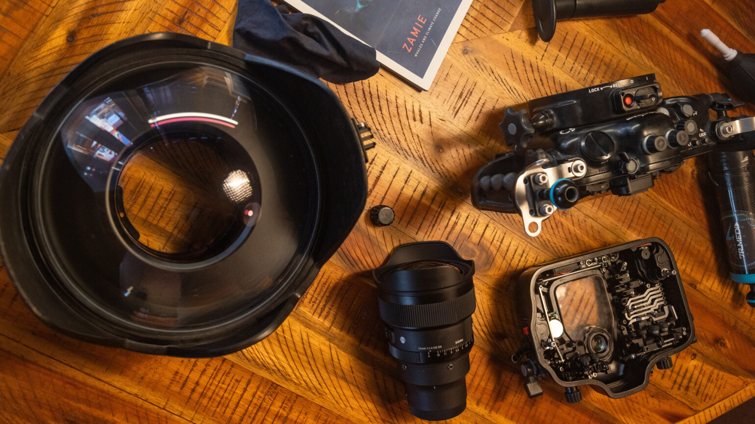 Underwater Whale Photography with the Sigma 14mm F1.4 DG DN Art Lens ...
