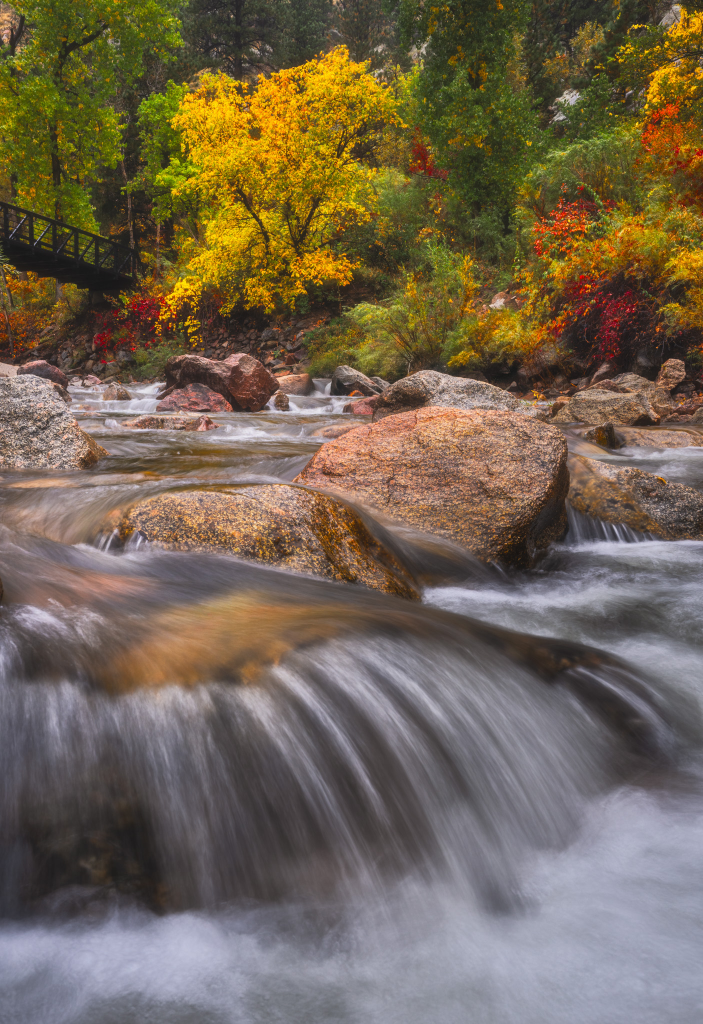 Seasonal Color Cascade | SIGMA Blog