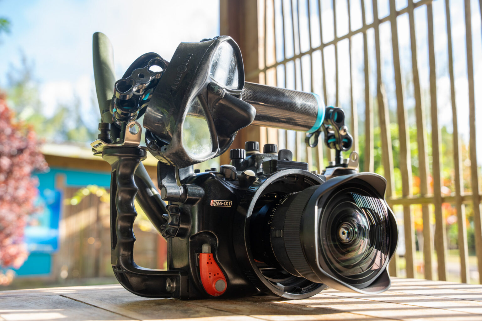 A Lens for Giants: Photographing Whales with the Sigma 15mm F1.4 DG DN ...