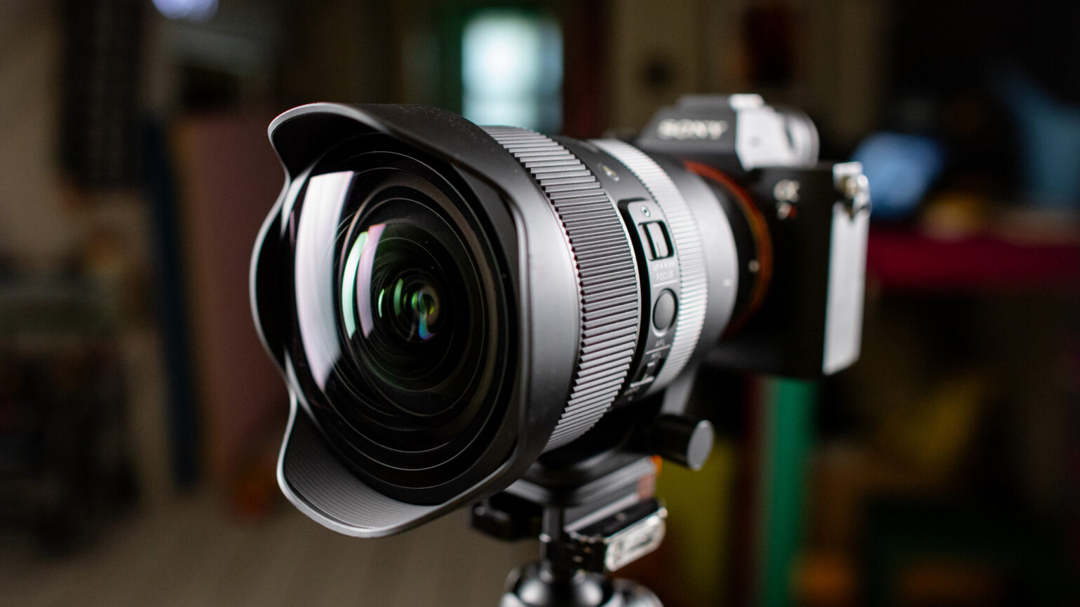 How 3 Sigma Lenses Shaped Our Creative Photography Project | SIGMA Blog